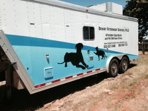 Low Cost Spay/Neuter & Pet Wellness Clinic in East TX | Dehart ...